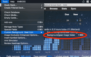 Zach Highley | How to Customize Your Anki Background